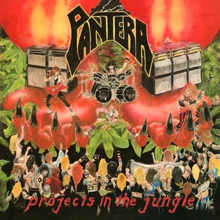 The Music Evolution (and a brief history) of Pantera – Jason S. Sullivan